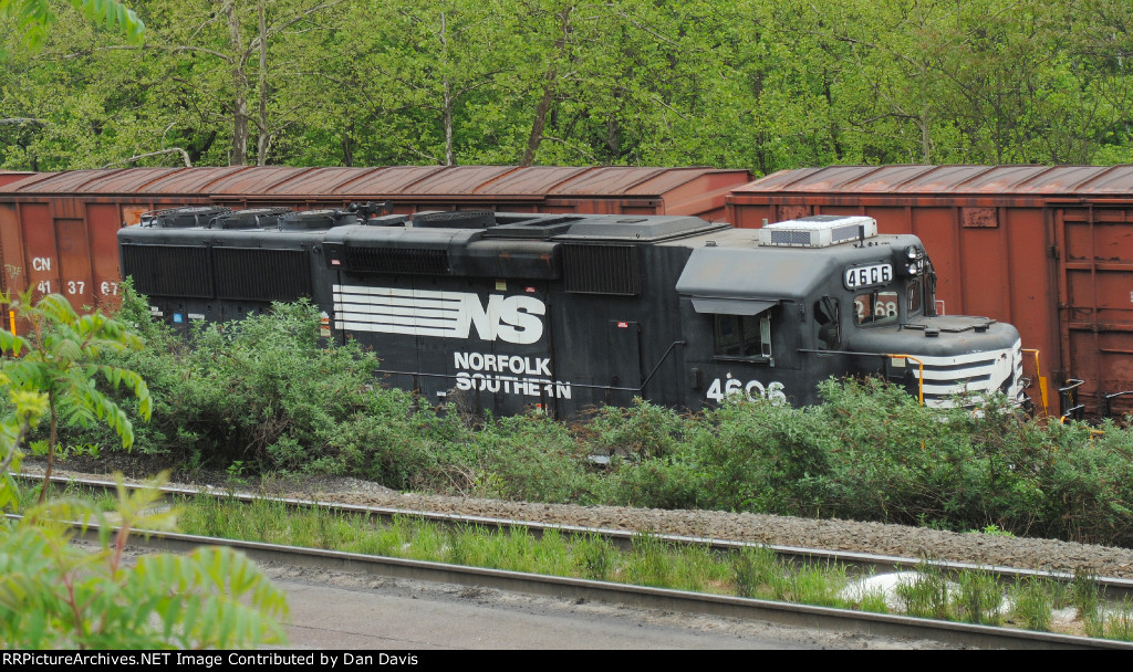 NS GP59 4606 behind the hump